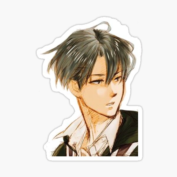 "Levi" Sticker for Sale by Markitos19821 | Redbubble
