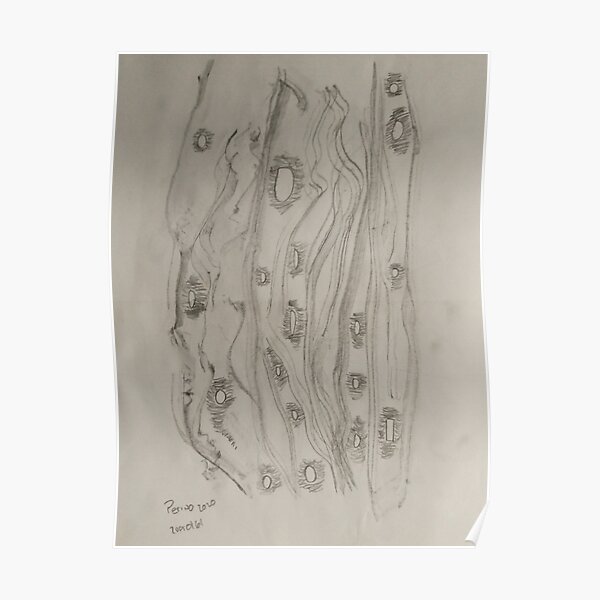 "River of Eyes by Danie Perino " Poster by strongcody36 | Redbubble