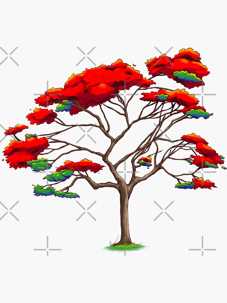 "El Flamboyán" Sticker for Sale by LilyTreeArt | Redbubble