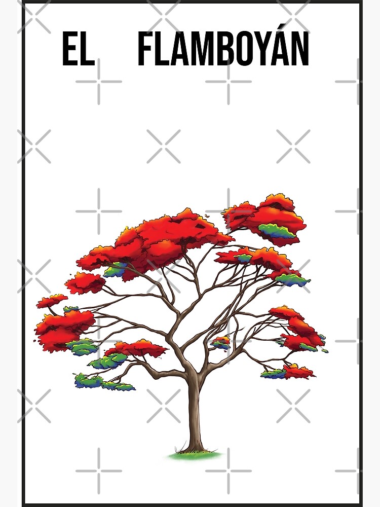 "El Flamboyán" Poster by LilyTreeArt | Redbubble