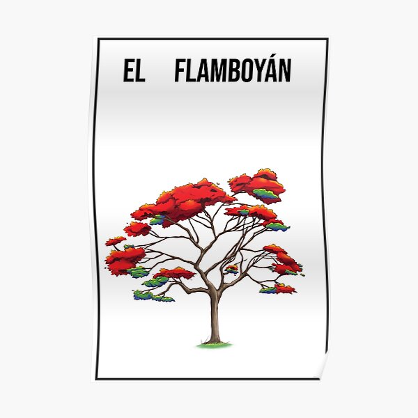 "El Flamboyán" Poster by LilyTreeArt | Redbubble