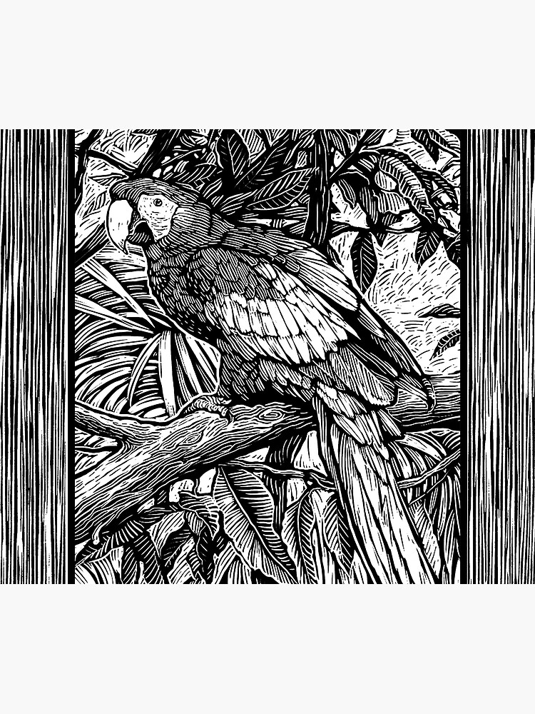 "Parrots Design BW" Poster for Sale by MatildaWatson | Redbubble
