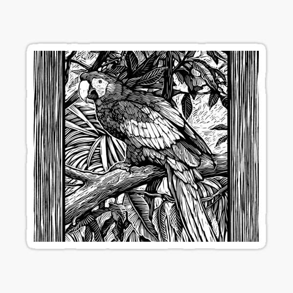 "Parrots Design BW" Sticker by MatildaWatson | Redbubble