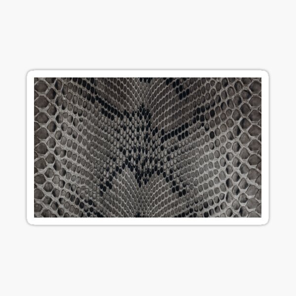 "Snake Skin" Sticker by jgomezserrano | Redbubble
