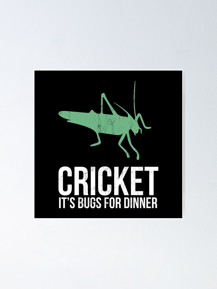"cricket its bugs for dinner eat insects entomophagy" Poster for Sale ...