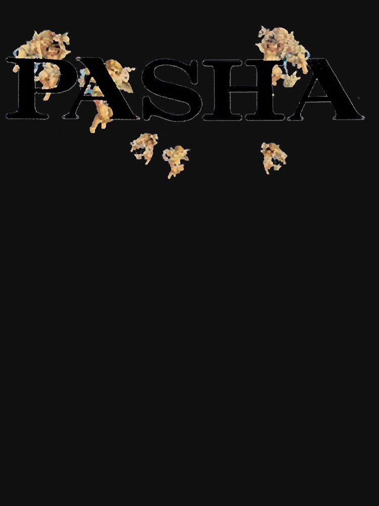 "Pashanim-Logo-Klassiker" T-Shirt von graysoncha0096 | Redbubble