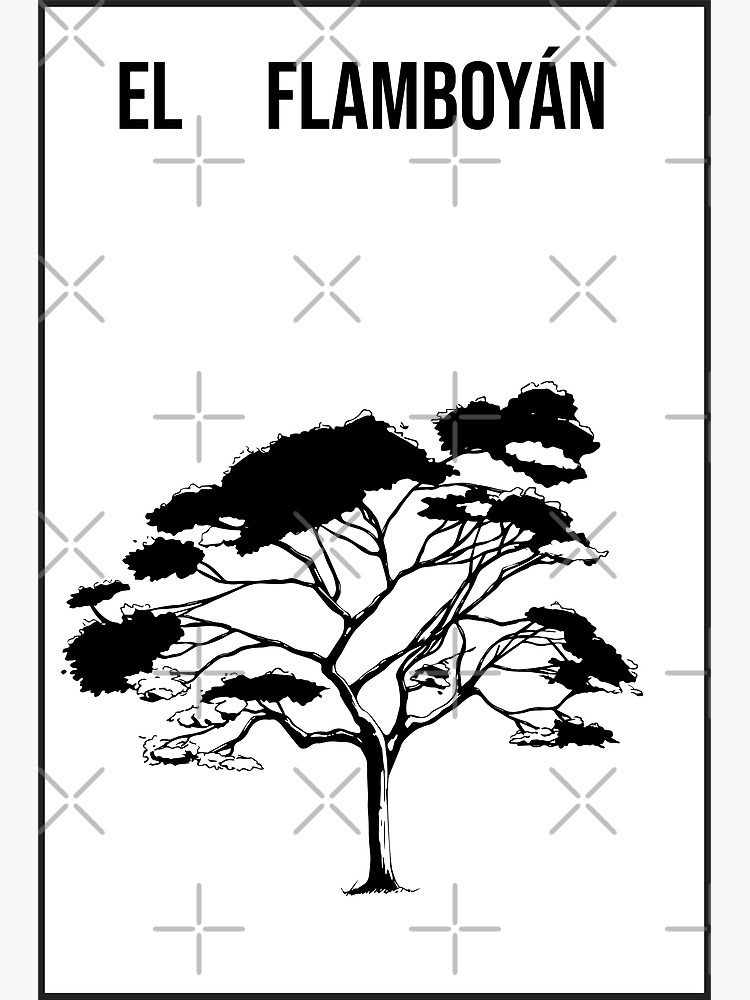 "El Flamboyán - Black and White" Poster for Sale by LilyTreeArt | Redbubble