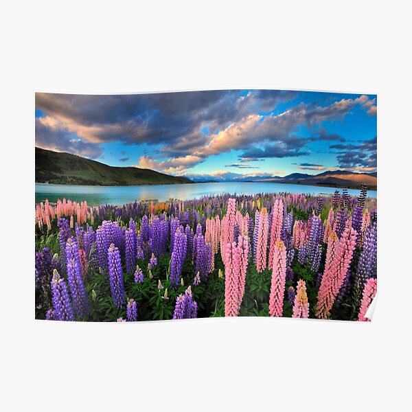 "Lake Tekapo New Zealand" Poster for Sale by PetrusijanA | Redbubble