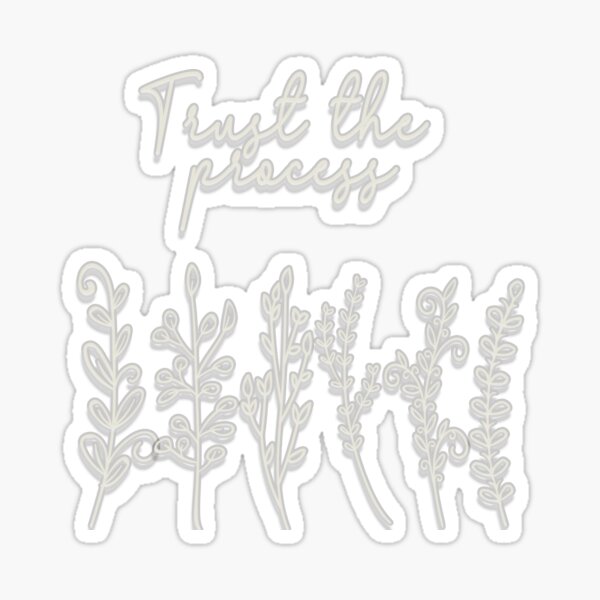 "trust the process" Sticker by AiramAesthetics | Redbubble