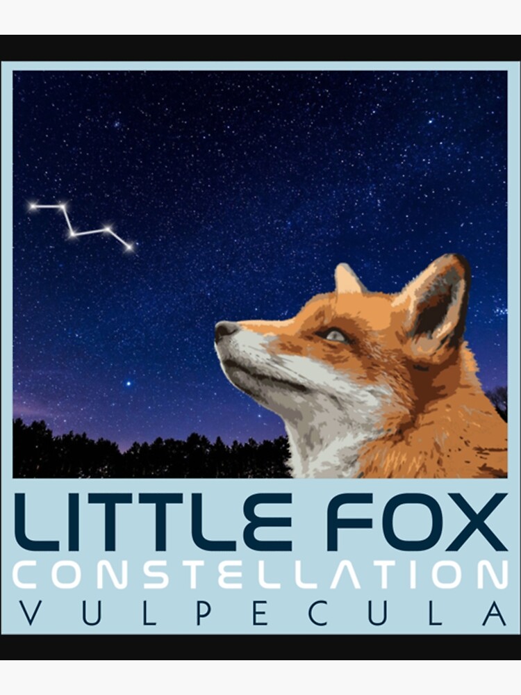 "fox constellation " Poster for Sale by Teellusion | Redbubble