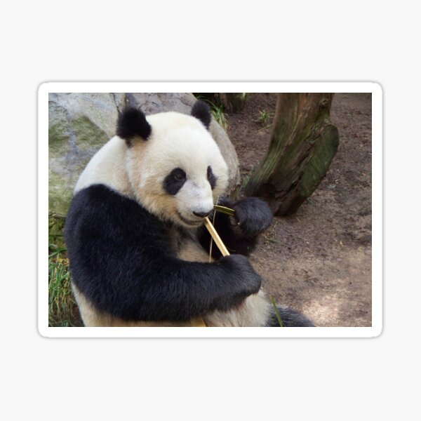 Tamara Mason Shop | Redbubble