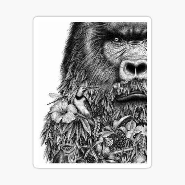 "Stratus Oakland " Sticker by StratusOakArt | Redbubble