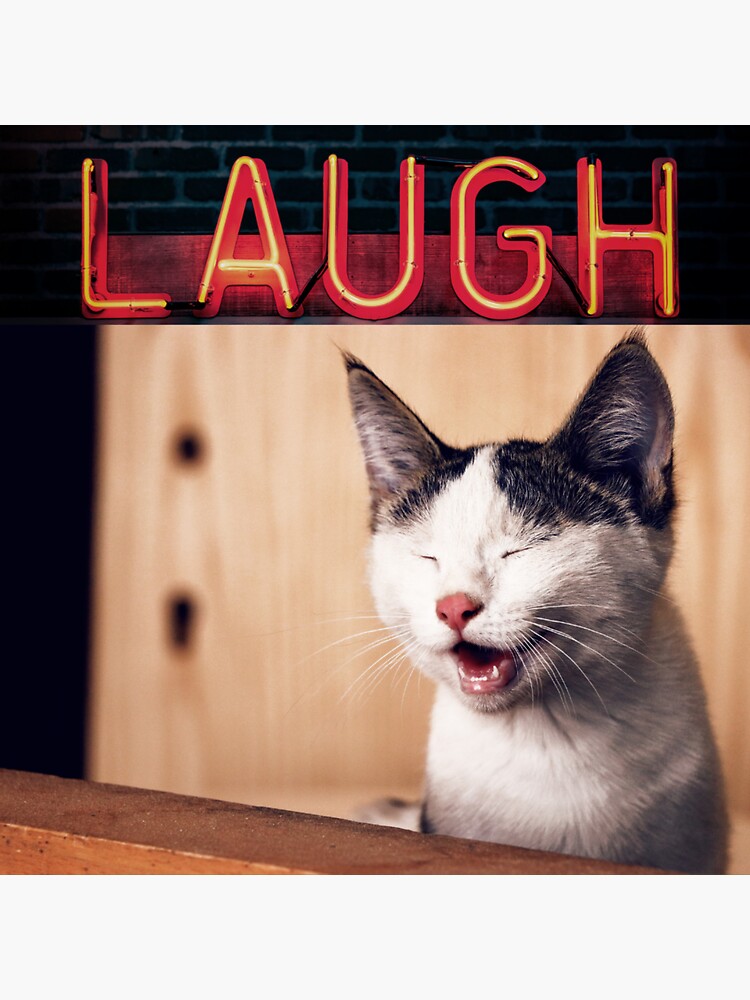 "Cute cat laugh" Sticker by Applesoul | Redbubble