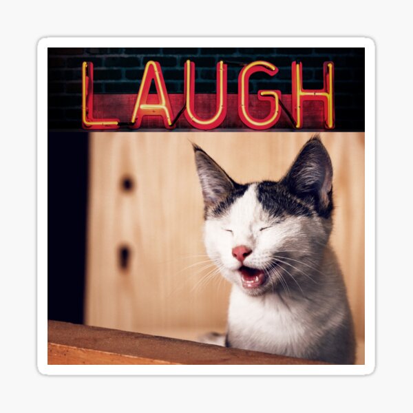 "Cute cat laugh" Sticker by Applesoul | Redbubble