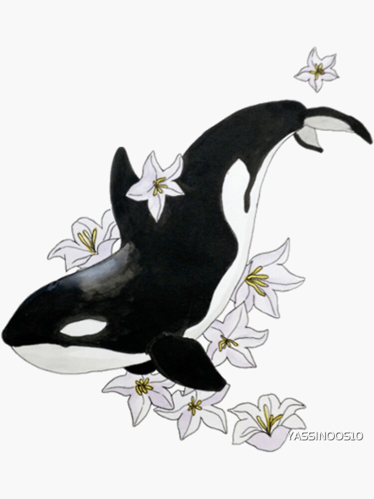 "Killer Whale Orca Pacific NW Native American Indian" Sticker for Sale ...