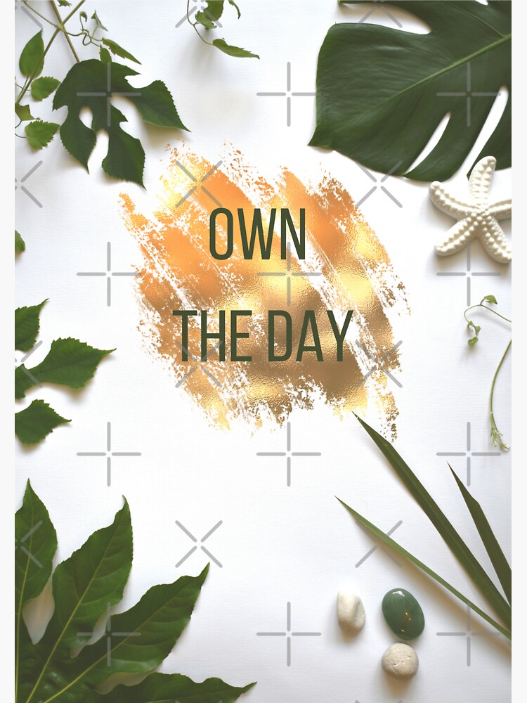 "OWN THE DAY" Sticker by DesignAndTales | Redbubble