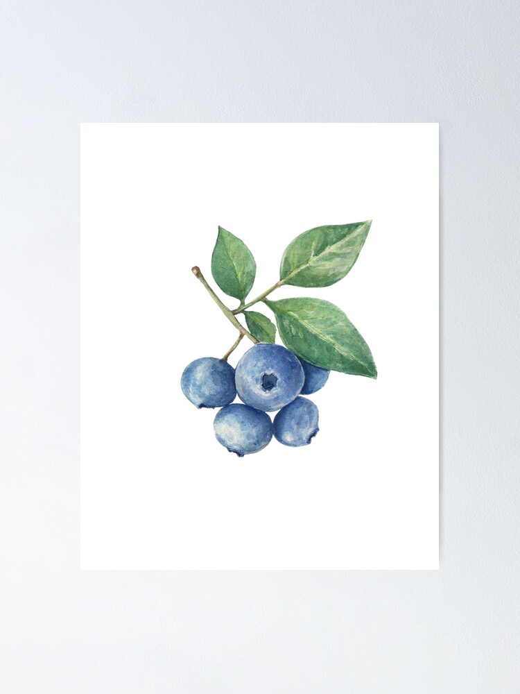 "Blueberry berry" Poster for Sale by Filyhope | Redbubble