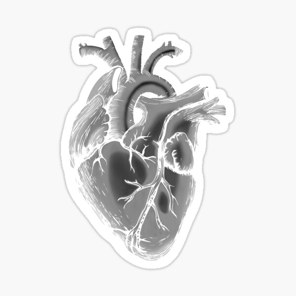 "Negative Heart" Sticker by SechsFabs | Redbubble