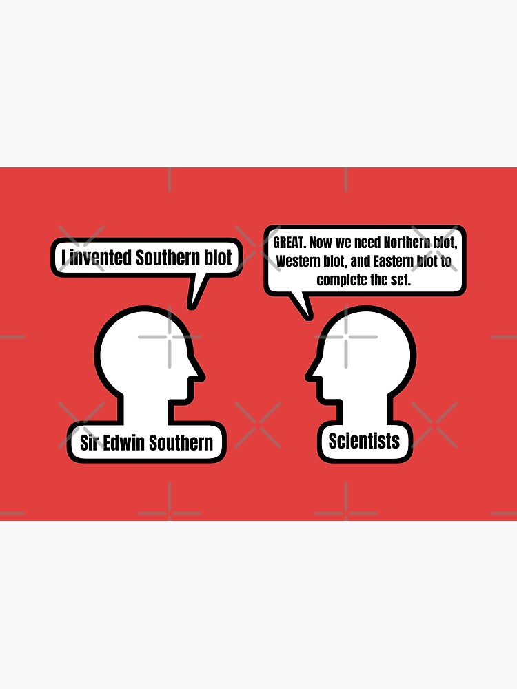 From Southern Blot to Northern Blot, Western Blot, and Eastern Blot ...