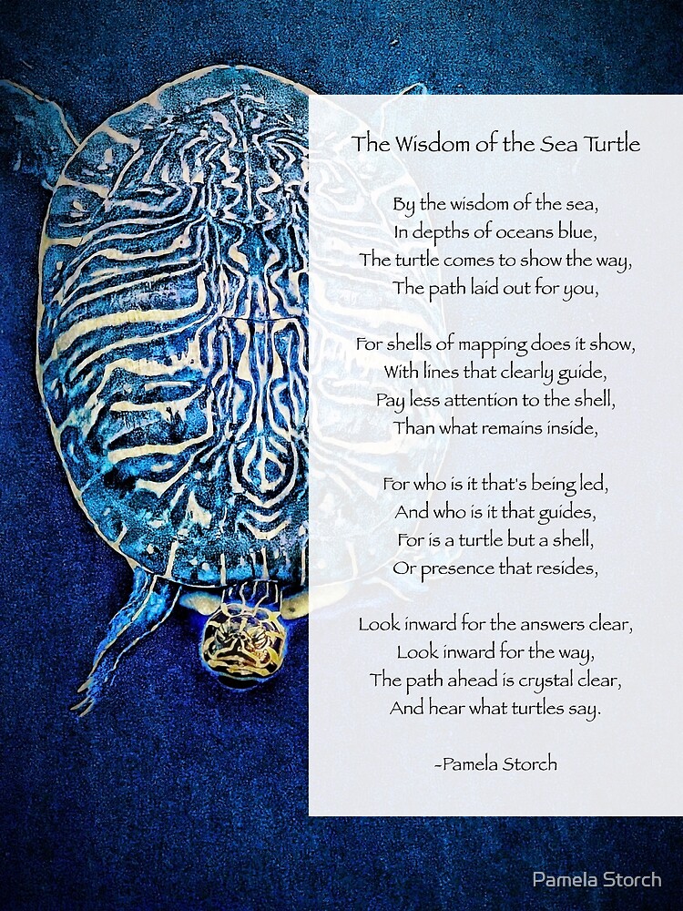 Lámina fotográfica «El poema de la sabiduría de la tortuga marina» de ...
