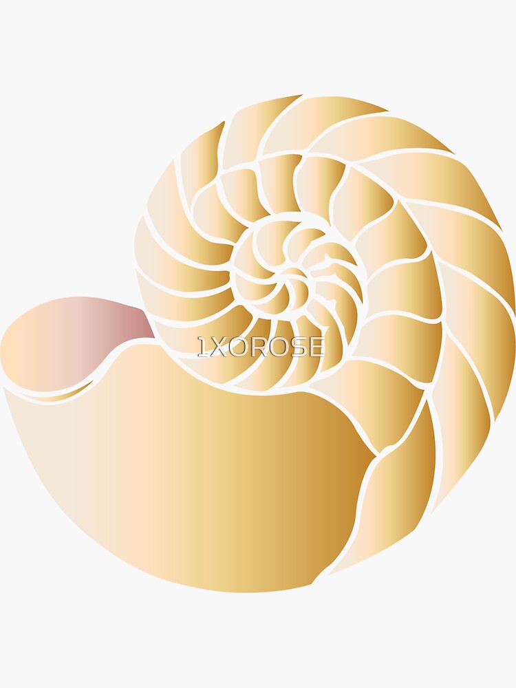 "Seashell" Sticker for Sale by 1XOROSE | Redbubble