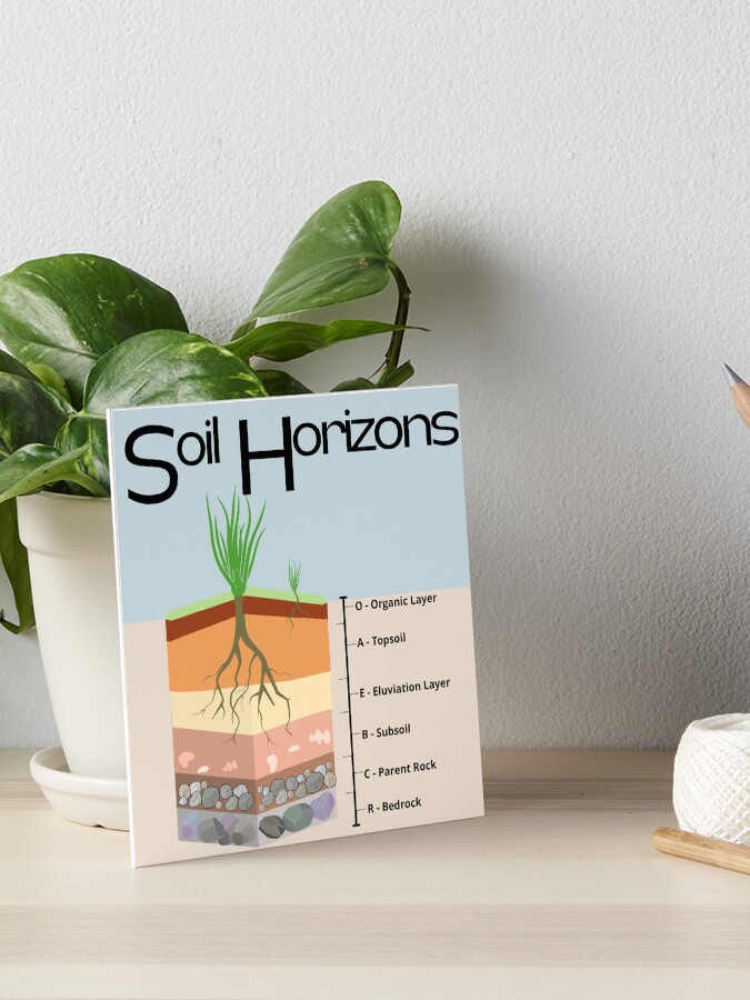 "Soil Horizons Geology Soil Science" Art Board Print for Sale by ...