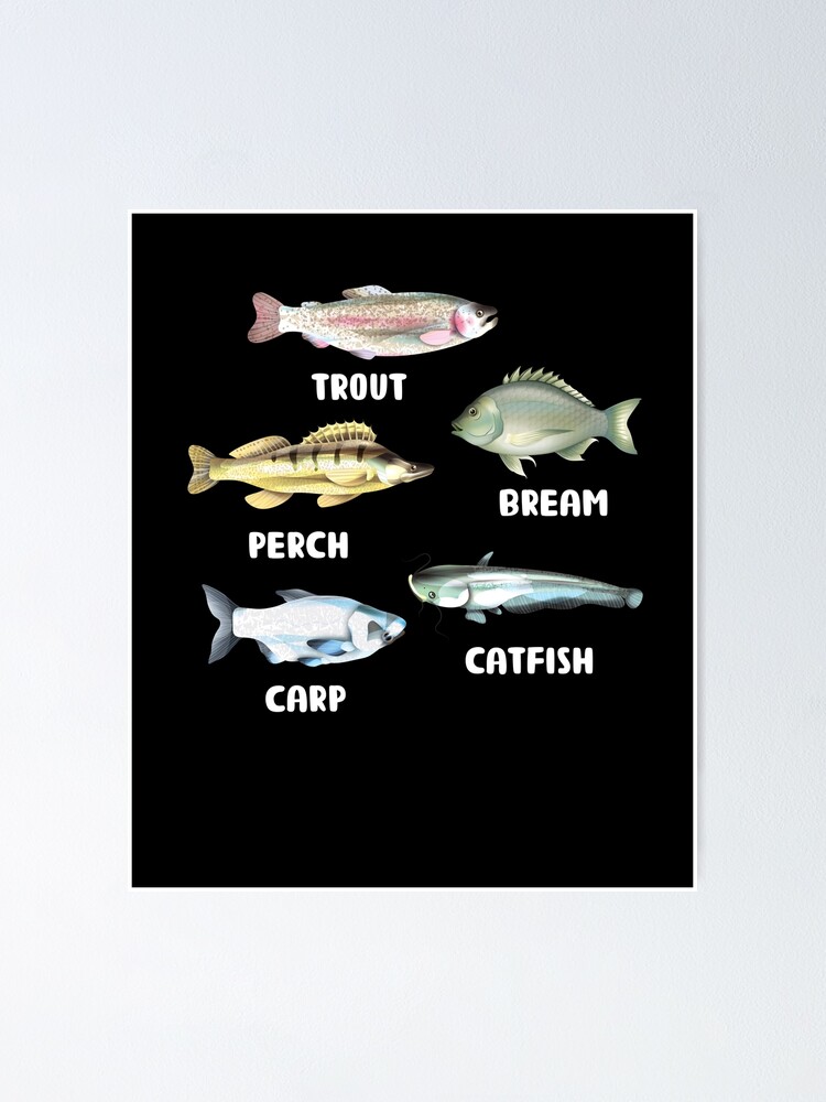"Fish Species Gift Fisherman Fishing Lover Types Of Fish" Poster for ...