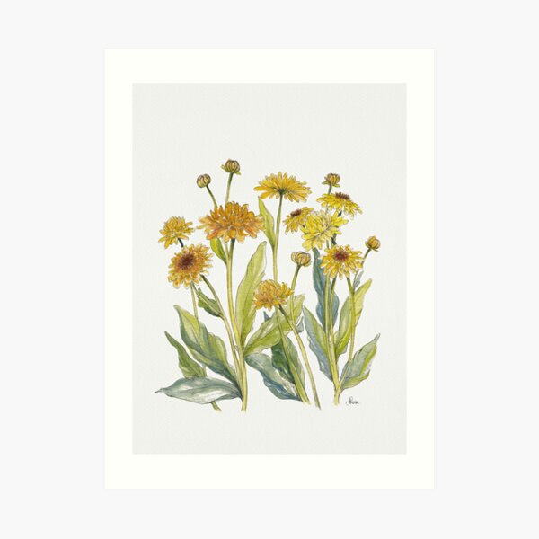 "Yellow Paper Daisies" Art Print for Sale by JRoseDesign | Redbubble