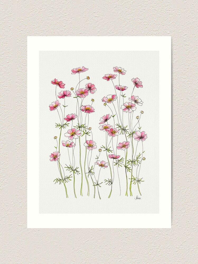 "Pink Cosmos Flowers" Art Print for Sale by JRoseDesign | Redbubble