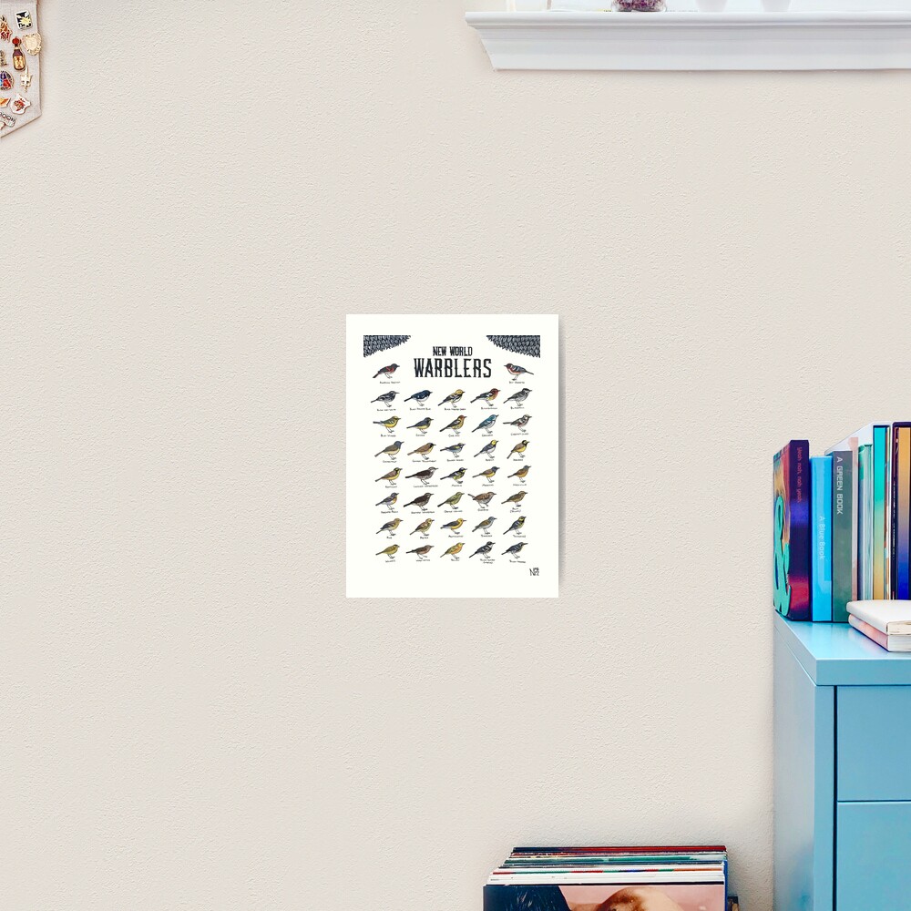 "New World Warblers" Poster for Sale by Plakinina | Redbubble