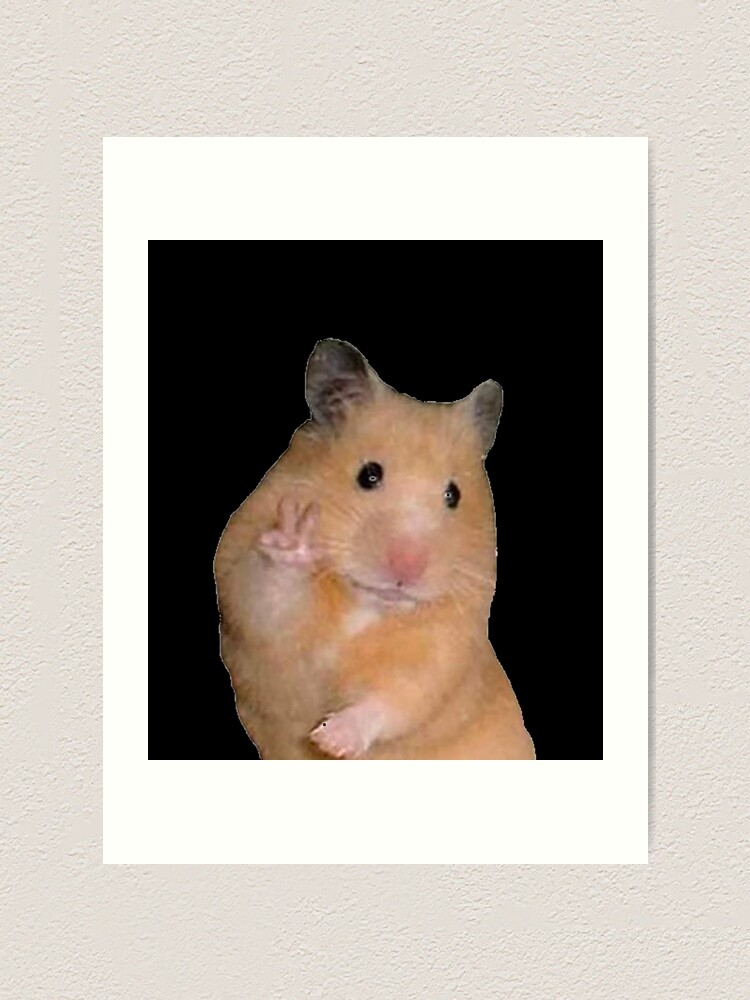 "Peace Sign Hamster Meme" Art Print for Sale by Aidallnnon | Redbubble