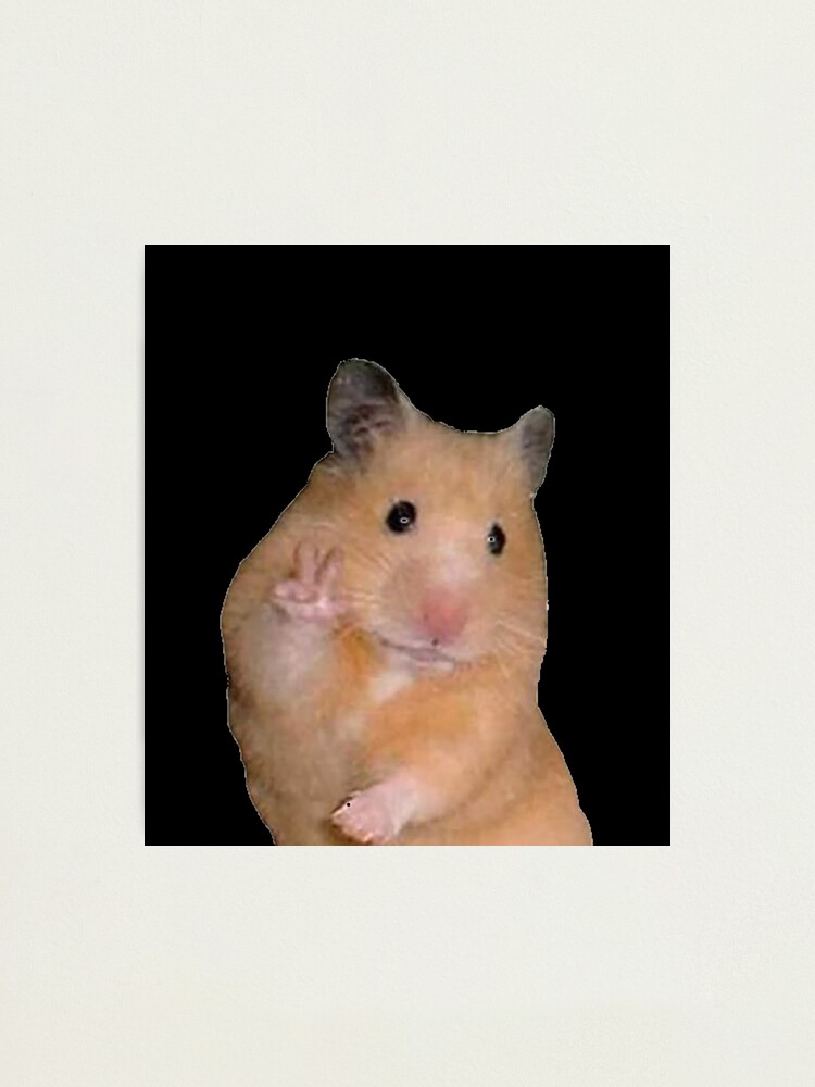 "Peace Sign Hamster Meme" Photographic Print for Sale by Aidallnnon ...