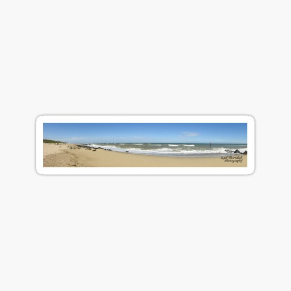 "SEALS AT THE NATIONAL TRUST BEACH" Sticker for Sale by karlthorndick ...