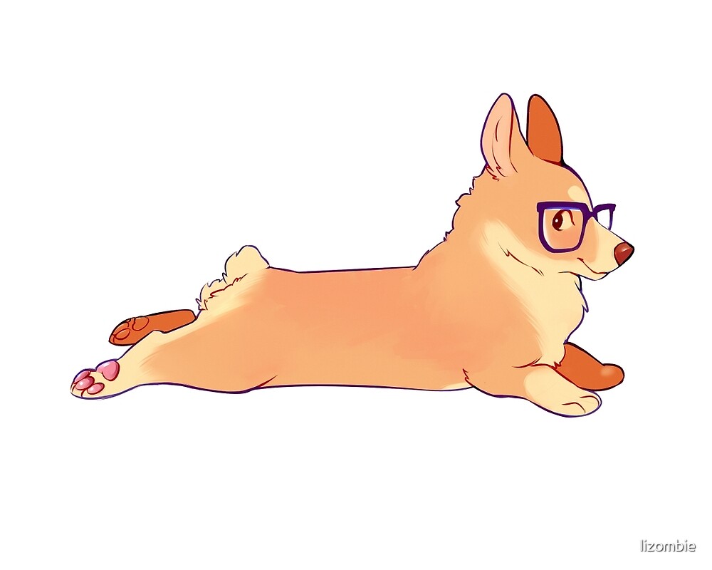 "Corgi lay down" by lizombie | Redbubble