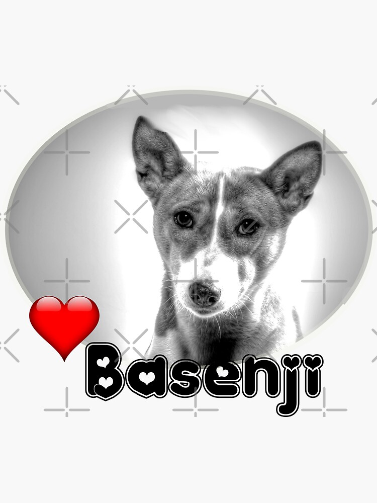 "Basenji Love heart" Sticker for Sale by hopshopbop | Redbubble