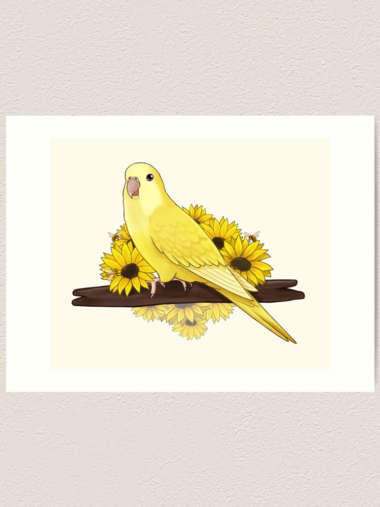 "Cute Quaker Parrot" Art Print by meruesan | Redbubble