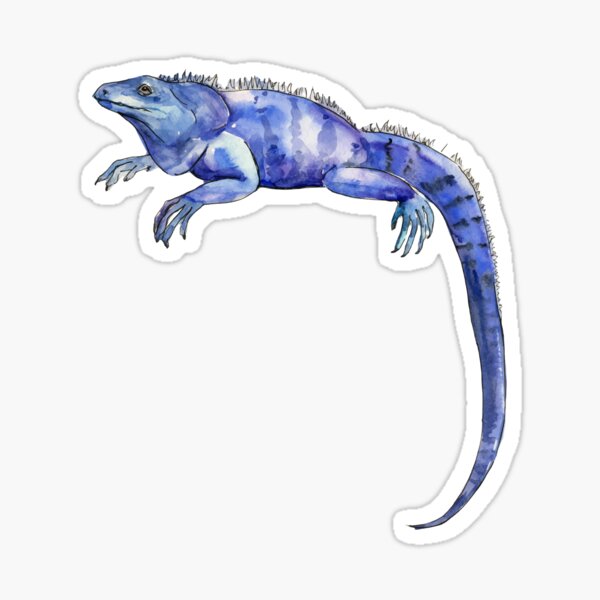 "Iguana Azul - Blue Iguana" Sticker by MerchLovers | Redbubble