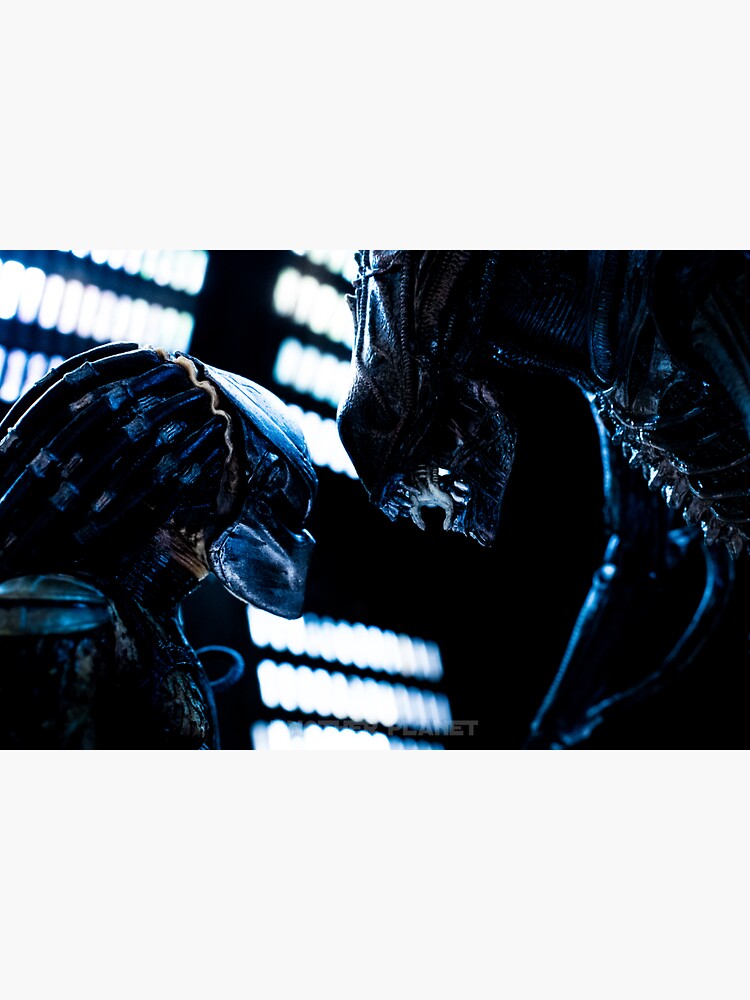 "alien vs predator" Sticker by molfilm | Redbubble