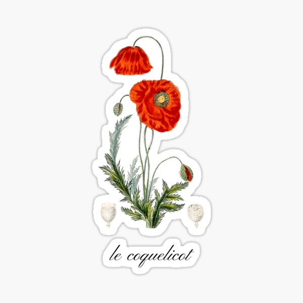 "Le coquelicot - BOTANIQUE" Sticker by Tartine-Bonheur | Redbubble