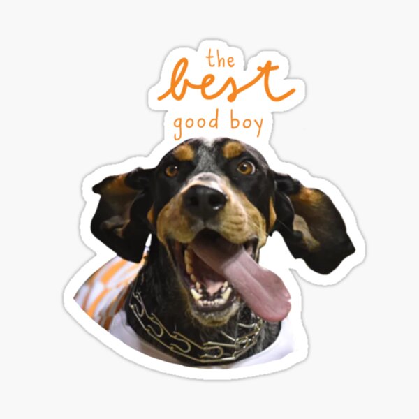 "Smokey- the BEST good boy" Sticker for Sale by sblackw8 | Redbubble
