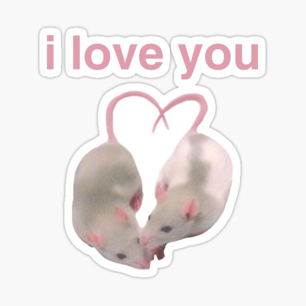 "rats say i love you" Sticker for Sale by michelleseye | Redbubble