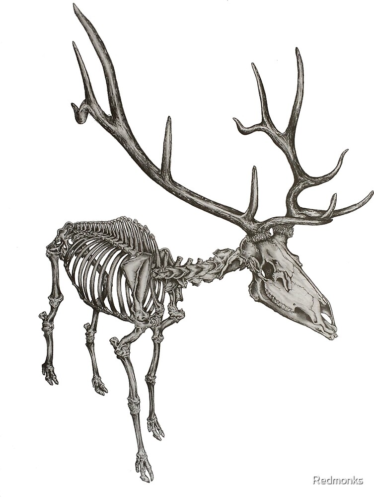 "Elk Skeleton" by Redmonks | Redbubble