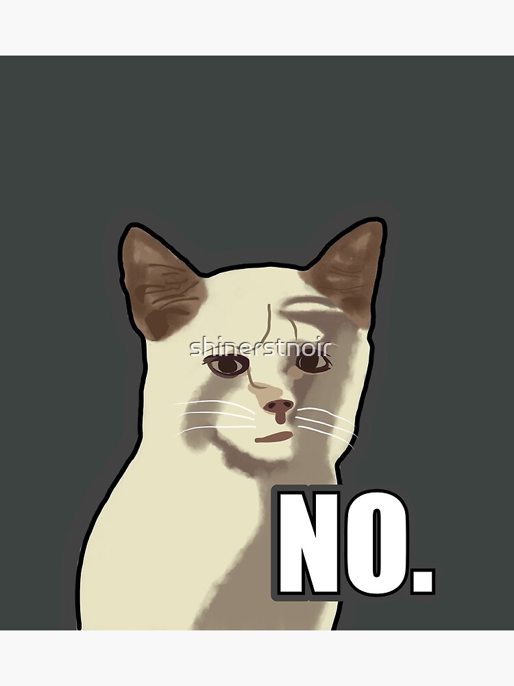 "Offended cat meme" Poster for Sale by shinerstnoir | Redbubble