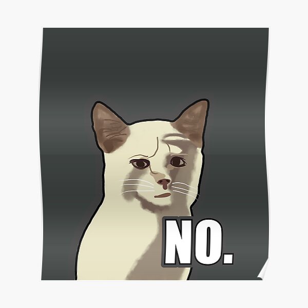 "Offended cat meme" Poster for Sale by shinerstnoir | Redbubble