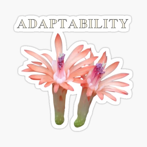 "Adaptability, beautiful way to adjust" Sticker for Sale by Worldgreets ...
