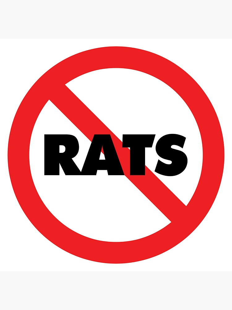 "No Rats Hard Hat Sticker Funny For Workers and Tradesman" Sticker by ...