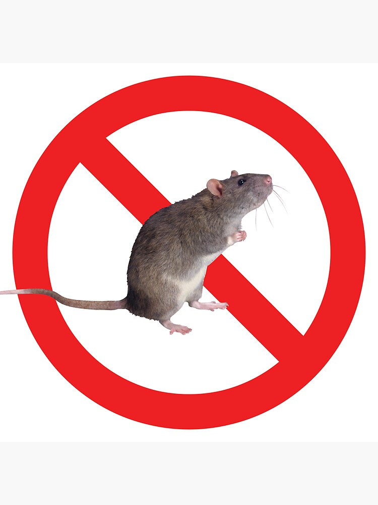 "Anti Rats Hard Hat Sticker Funny For Workers and Tradesman" Sticker by ...