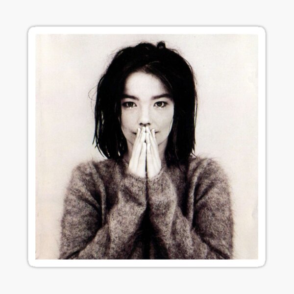 "bjork" Sticker by trevtod | Redbubble