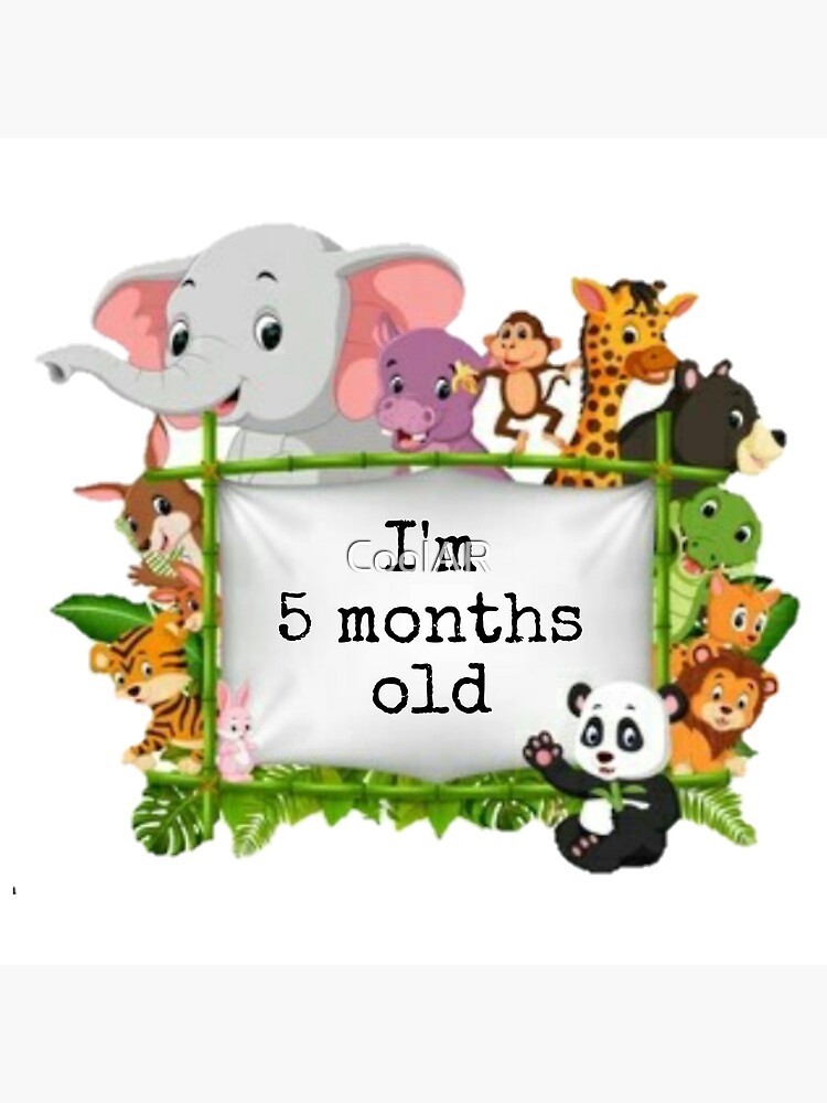 "Baby milestone 5 months " Poster for Sale by CoolAR | Redbubble