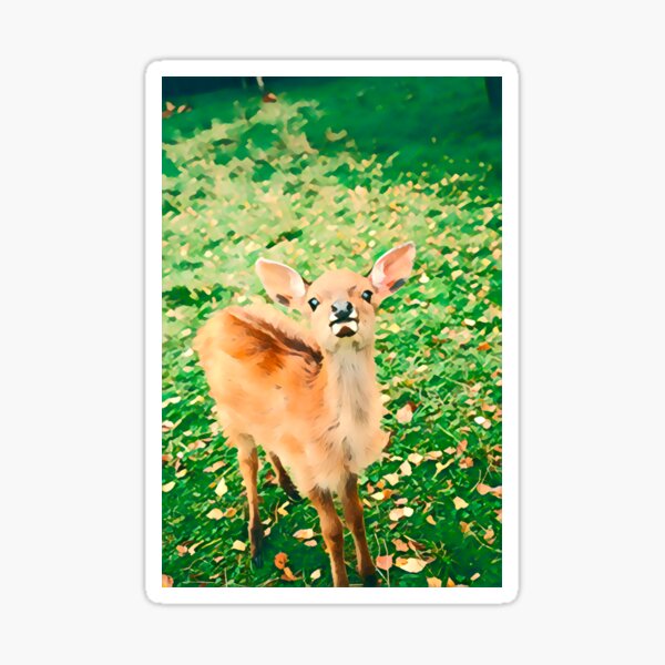 "Hello Deer - Realistic Deer Drawing" Sticker for Sale by Funimals-Art ...